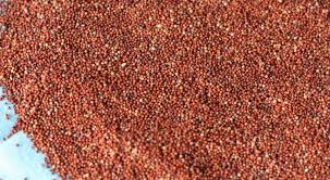 Odisha to provide 1 kg ragi at Rs 1 via PDS shops | Biz Odisha | A News ...